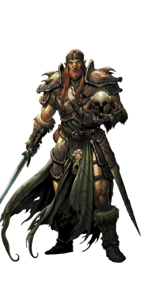 Elfes - Races - Le Monde d'Aquilon